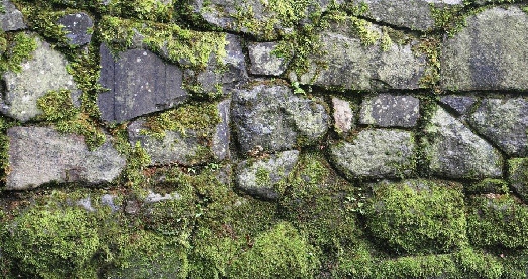 Moss Wall Decorative Window Well Liner